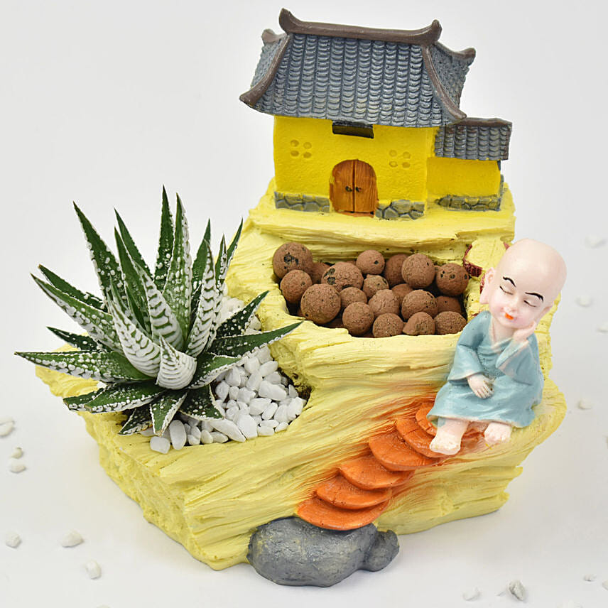 Order Haworthia in Monk Planter Online | Same-Day Delivery UAE - Fnp.ae
