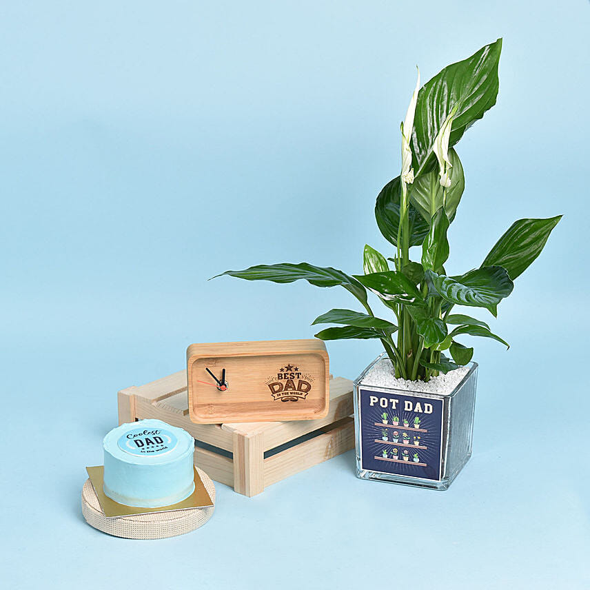 Order Pot Dad Peace Lilly Plant Combo Online | Same-Day Delivery UAE ...