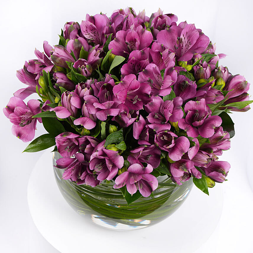 Order Purple Peruvian Lily Arrangement Online | Same-Day Delivery UAE ...